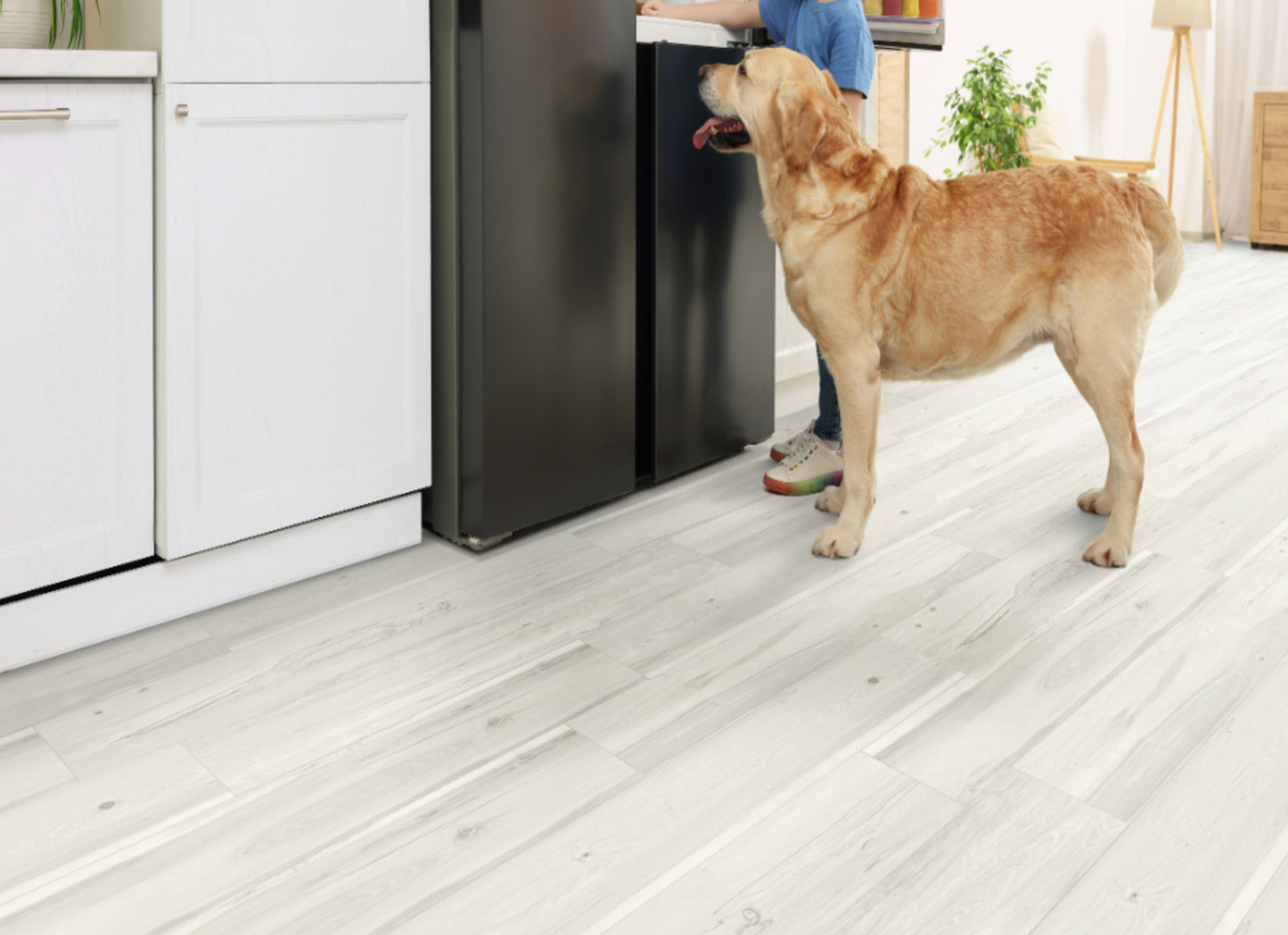 NuvoMax 8 - Beach House in White Wash Laminate – Royal Flooring