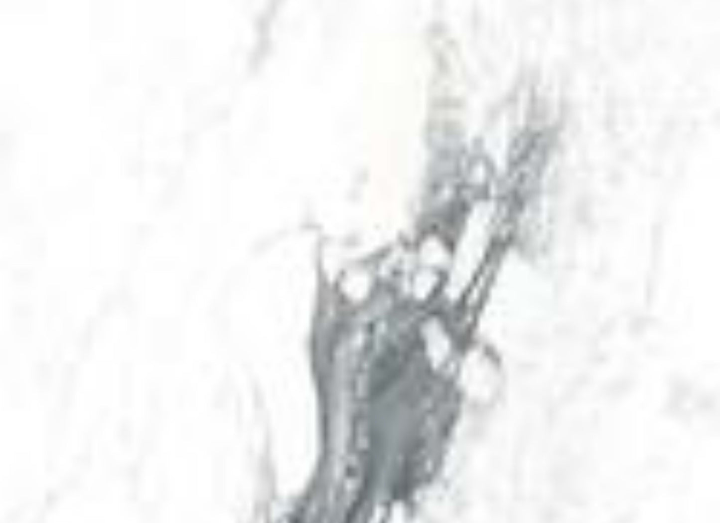 Incanto - 75X150 in Paonazzetto Glossy Rt-75x150 Tile – Royal Flooring