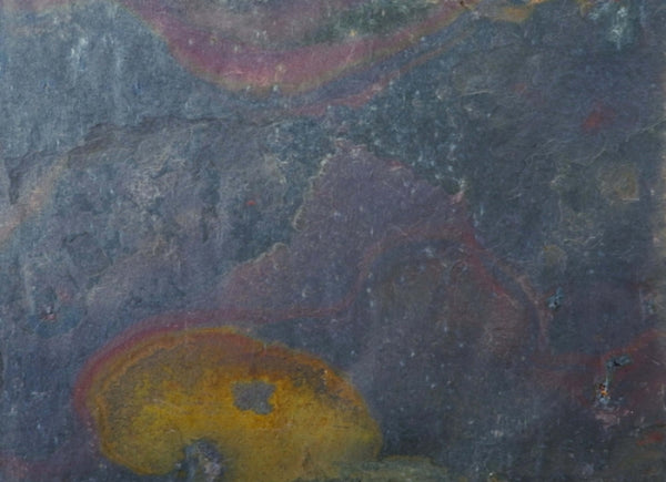 SLATE, QUARTZITE & SANDSTONE in Multi Rajah 12" X 12" Natural Stone ...